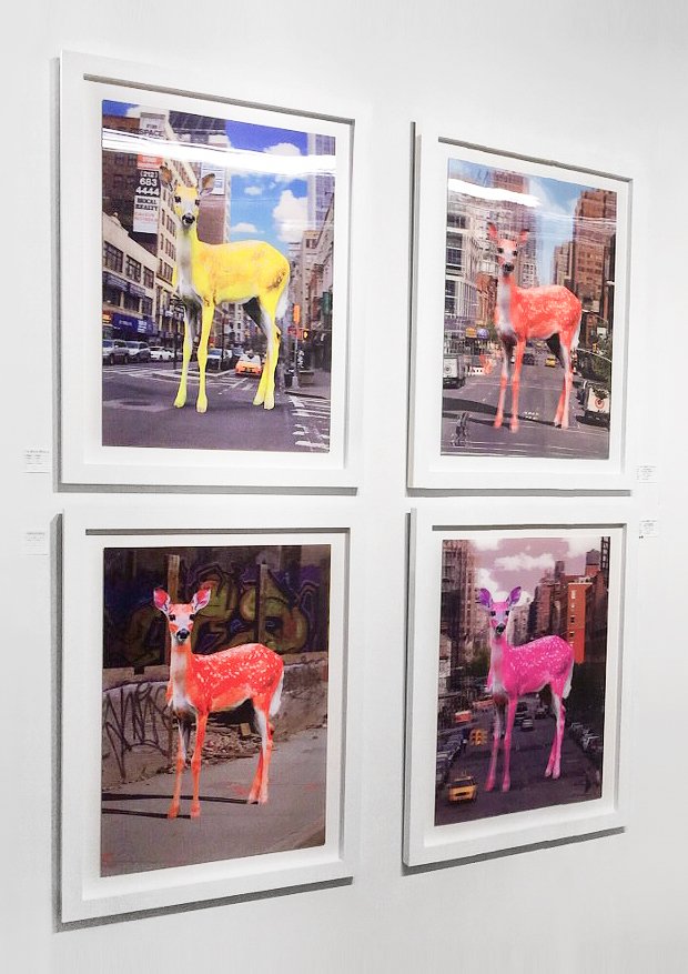 Paco Raphael | Kunsthuizen