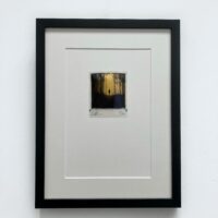 Andrew J. Millar | Kunsthuizen